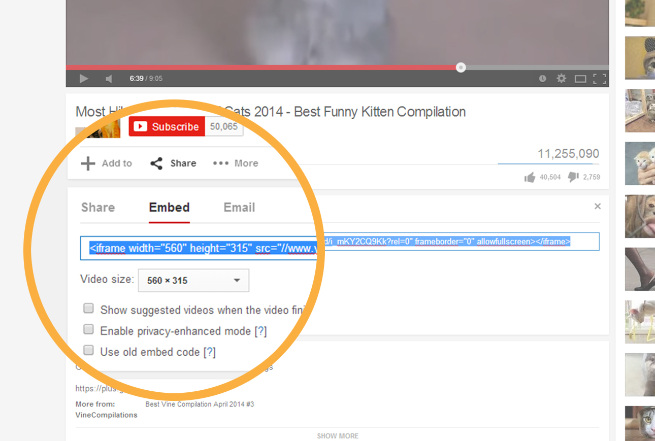 How To Embed A YouTube Video With A Specific Start Time ...