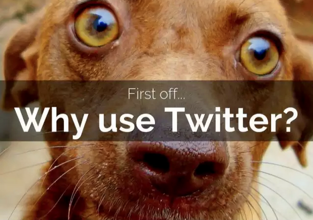 The Beginner’s Guide to Twitter Advertising - Business2Community