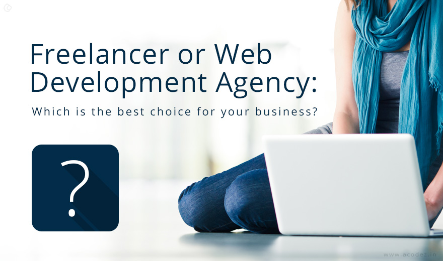 Freelancer or Web Development Agency: Which is the Best Choice for Your ...