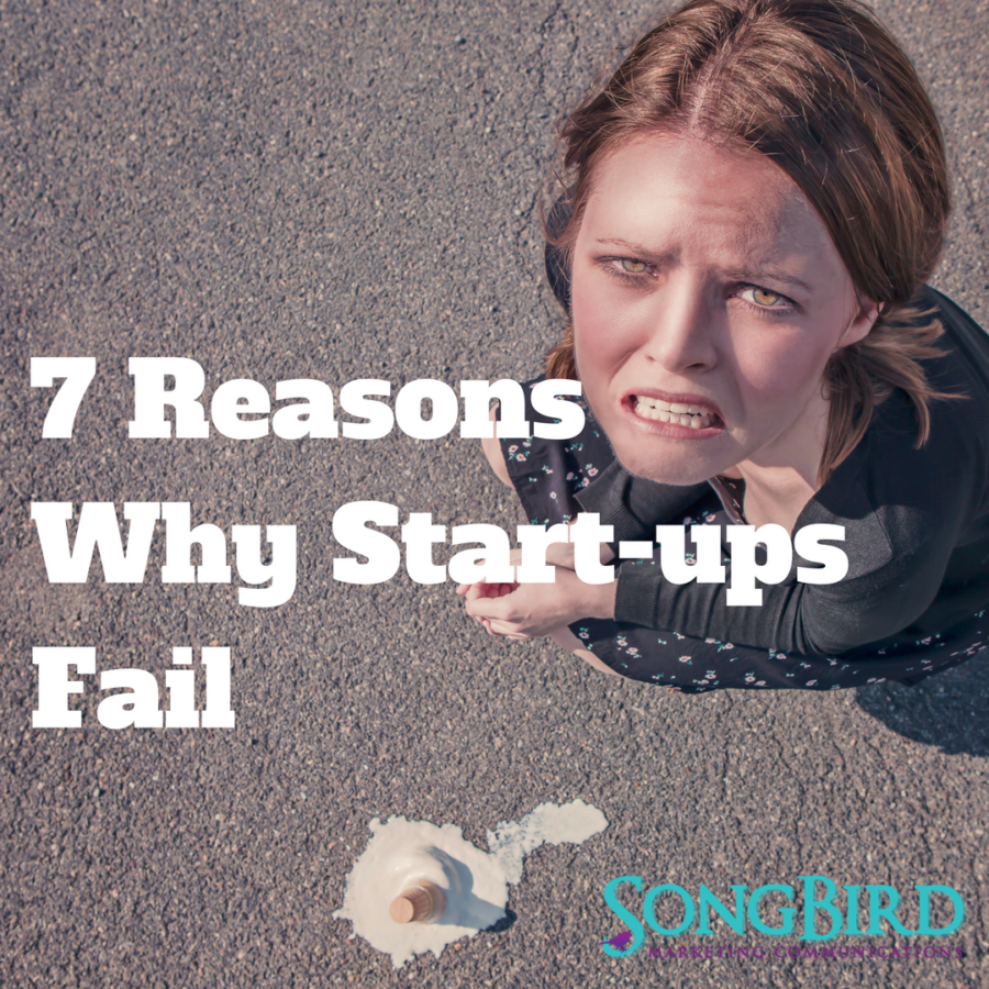 7 Reasons Why Start-ups Fail... And How to Come Out Ahead ...