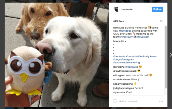 200 Instagram Photos: Examples, Ideas & Resources for Your Business ...