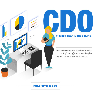 Can Your Business Benefit From Hiring A CDO? [Infographic ...
