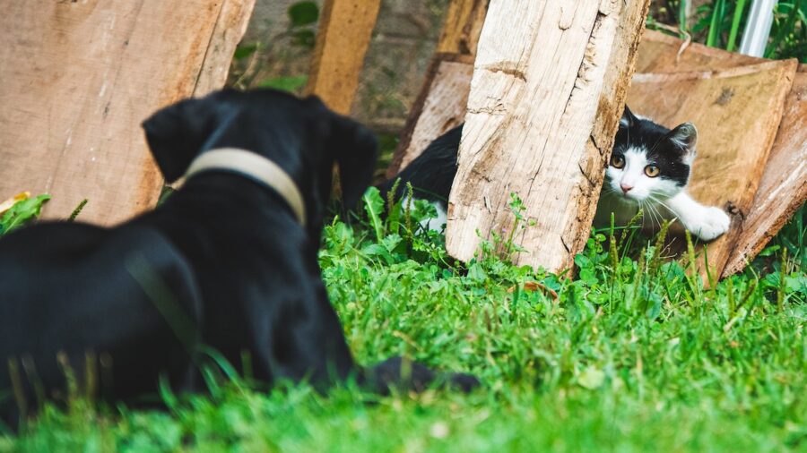 Stop Giving New-Client Discounts (And What to Do Instead ...