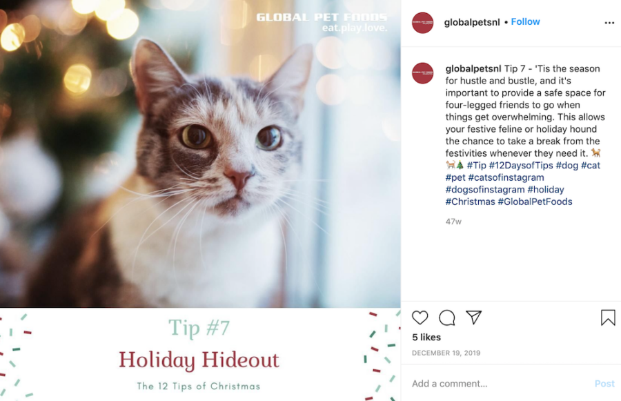 20 Super-Festive December Marketing Ideas to Try This Month ...